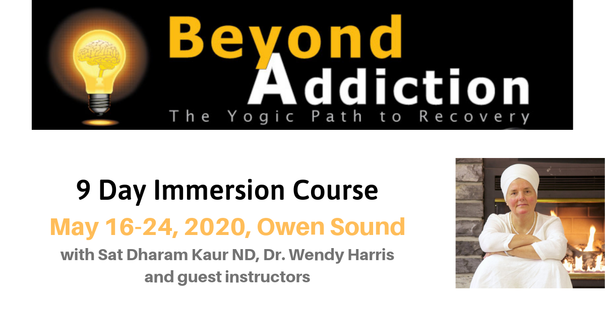 Beyond Addiction Immersion, Owen Sound, May 16-24, 2020 | Beyond Addiction